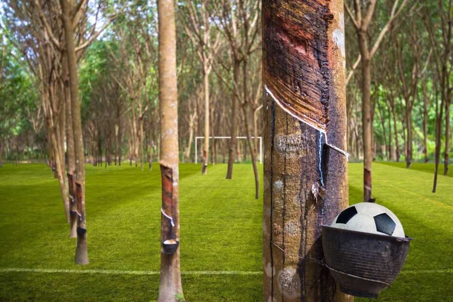 หรือนักบอลจะเป็นเพียงความฝัน แต่ปลายทางของฉันอยู่แค่ต้นยาง – Social ...